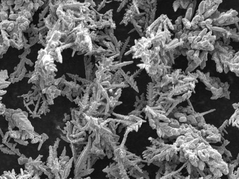 Metal Powders - Novamet